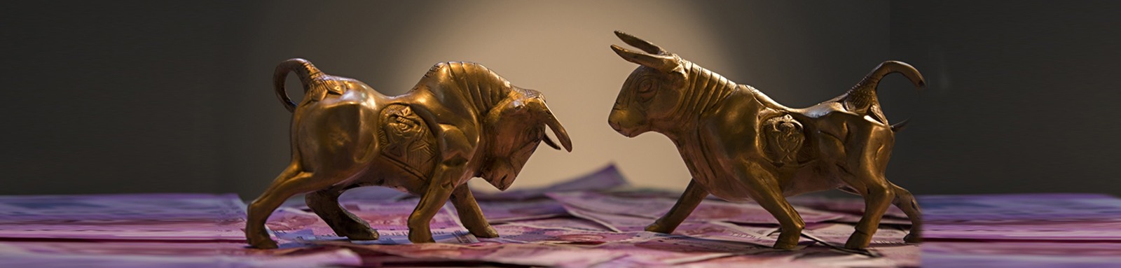 IPO Services and Investment Opportunities | CSB Bank
