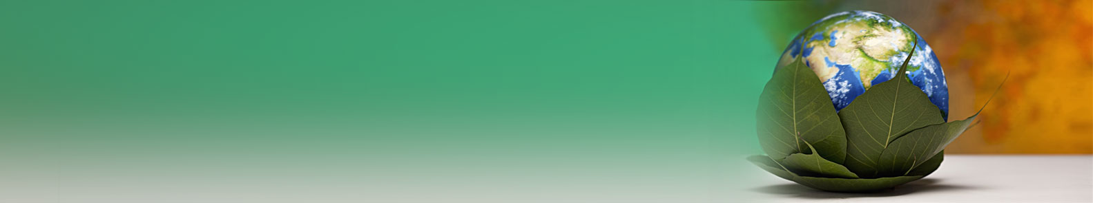 Corporate Social Responsibility (CSR) | CSB Bank